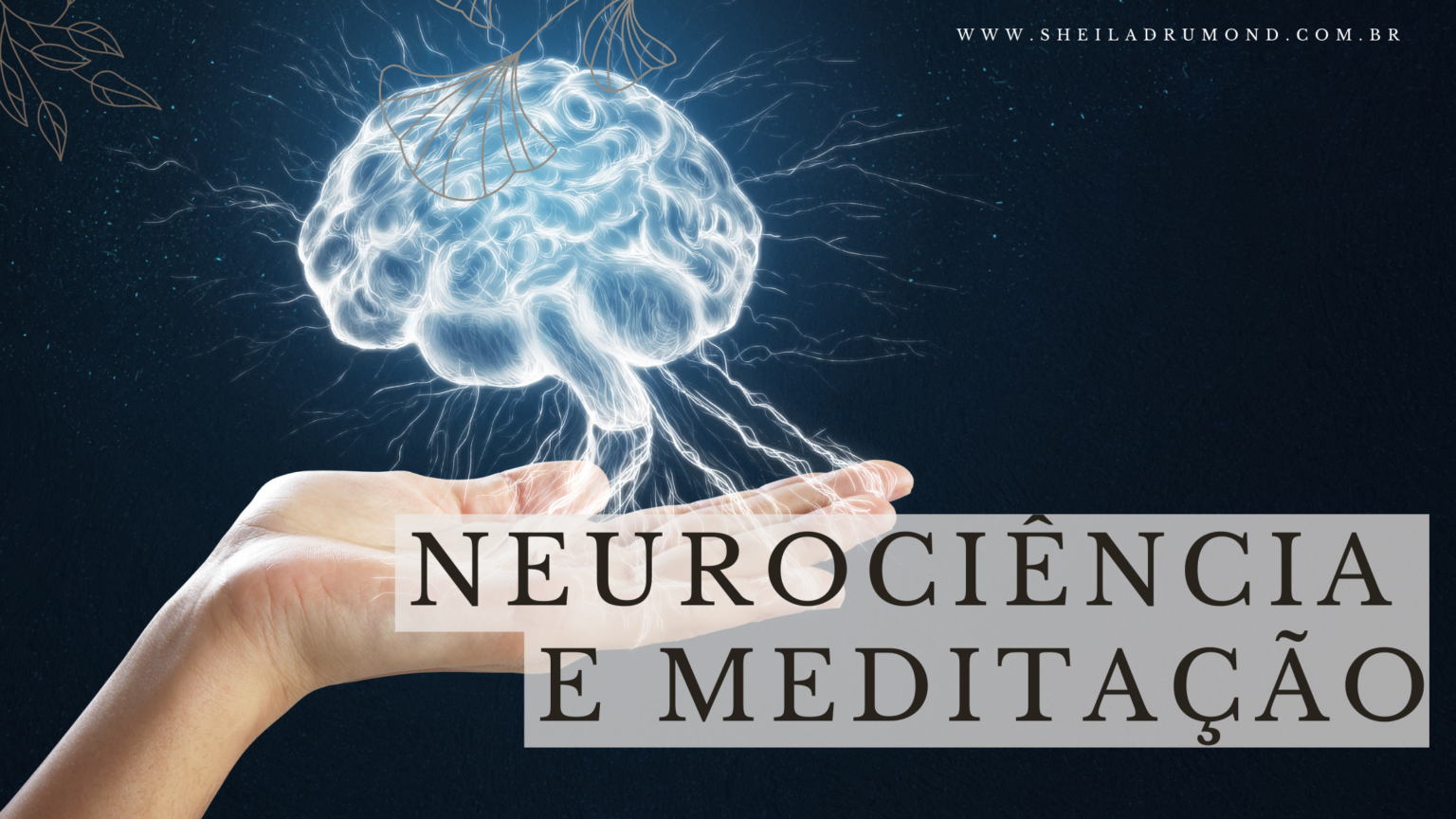 6 Benefícios Mentais da Prática de Mindfulness: O Que a Ciência Comprova - Sheila Drumond